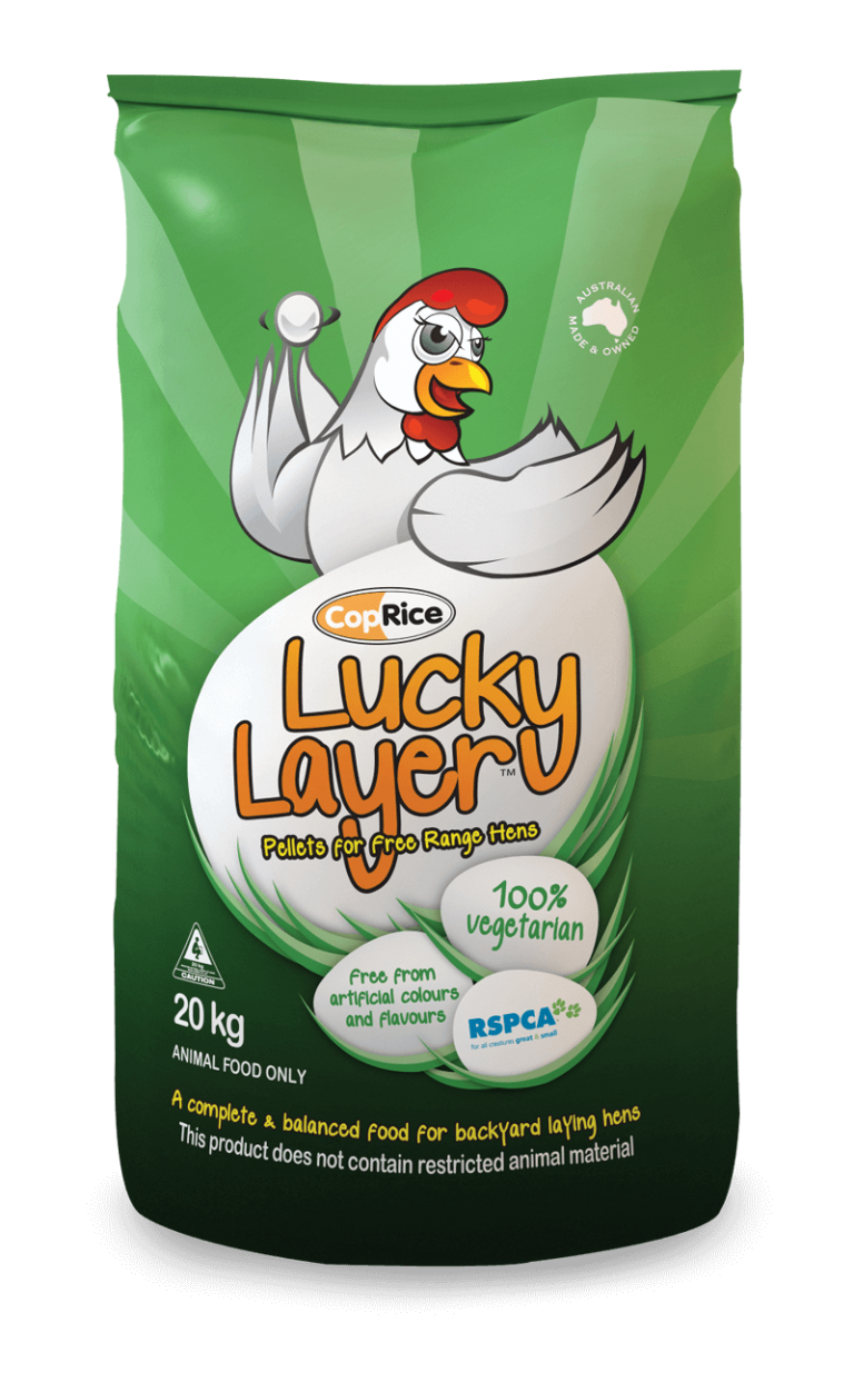 Lucky Layer Packaging - hei.design